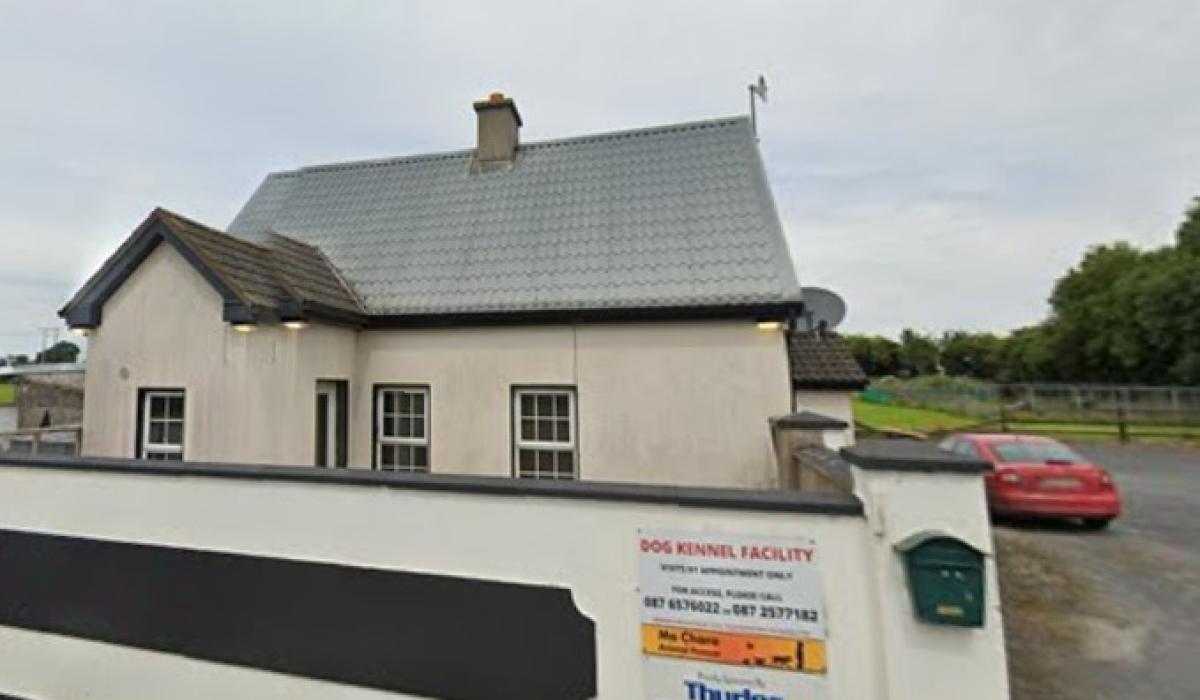 Many dogs being “put to sleep” in North Tipperary - Offaly Live