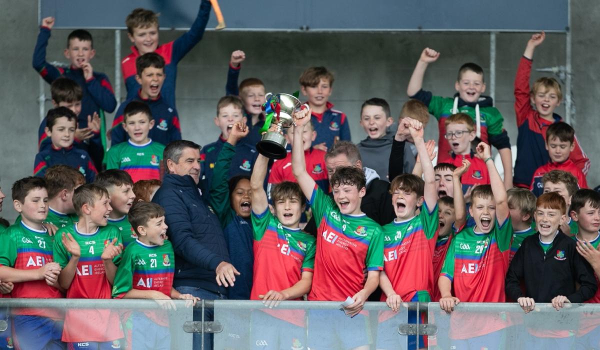 Offaly GAA pass significant motions restricting movement of players ...