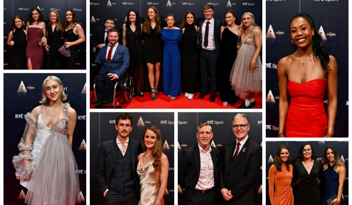 PICTURE SPECIAL: Ireland's sporting heroes and partners step out in ...