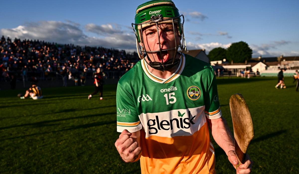 Cast your vote for the Offaly U-20 Hurlers All Ireland win as the Spórt ...