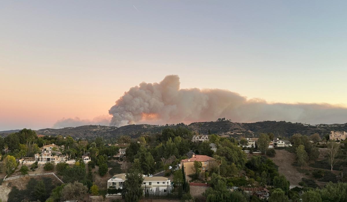 Man from the Midlands living in Los Angeles details the 'harrowing ...