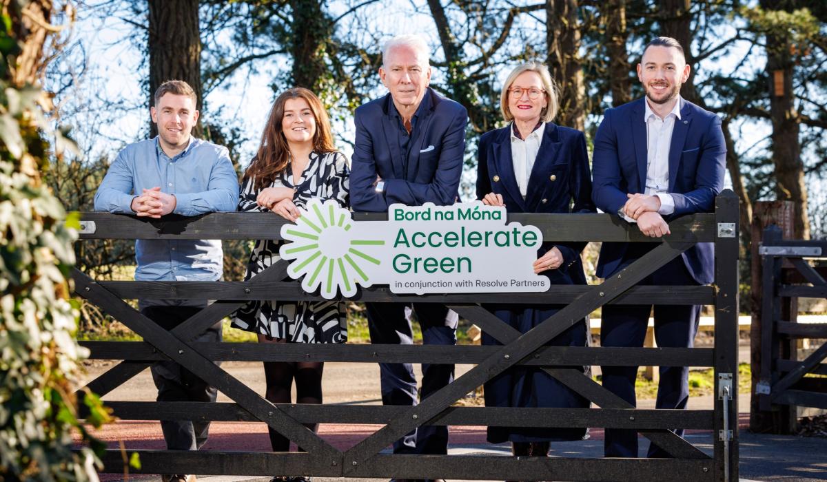 Bord na Mona unveils companies chosen for Offaly-based green mentoring ...