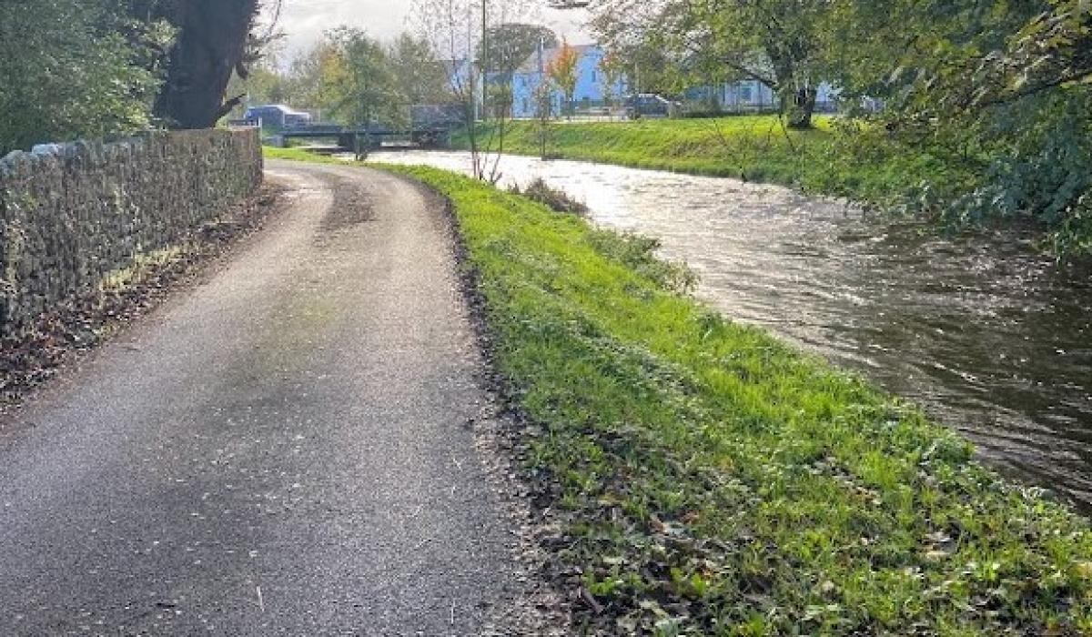 Kilcormac Wastewater Plant is polluting Silver River - Offaly Live