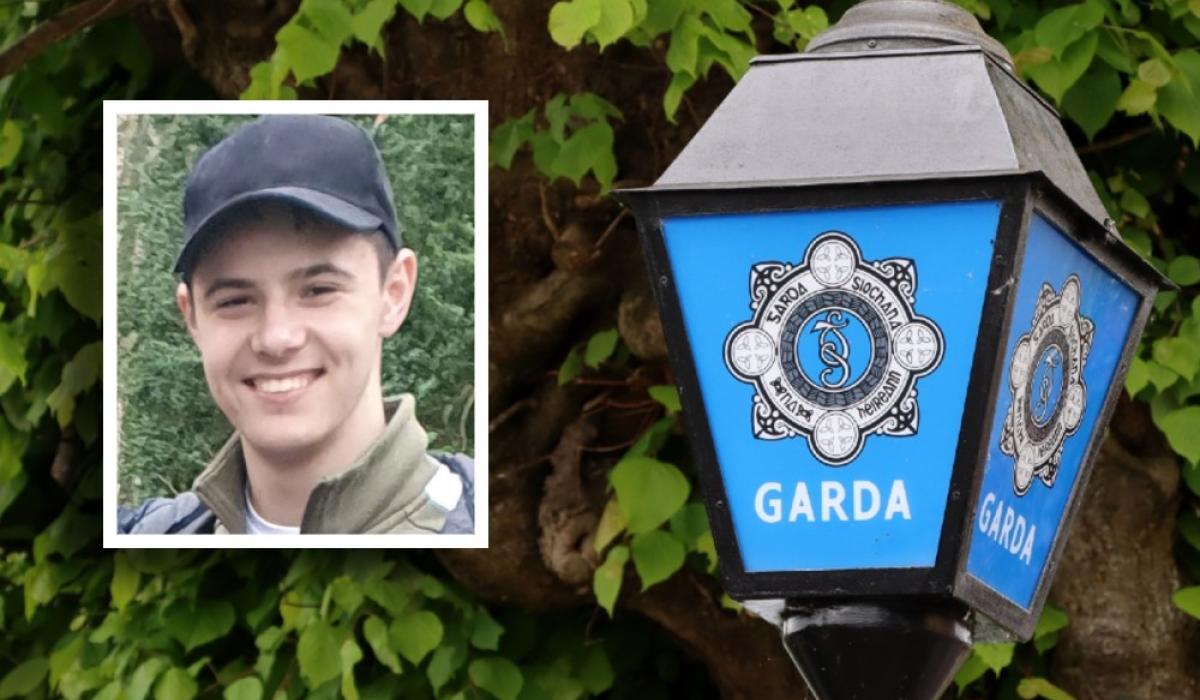 Gardaí end search for missing teenage boy in the Midlands amid update - Offaly Live