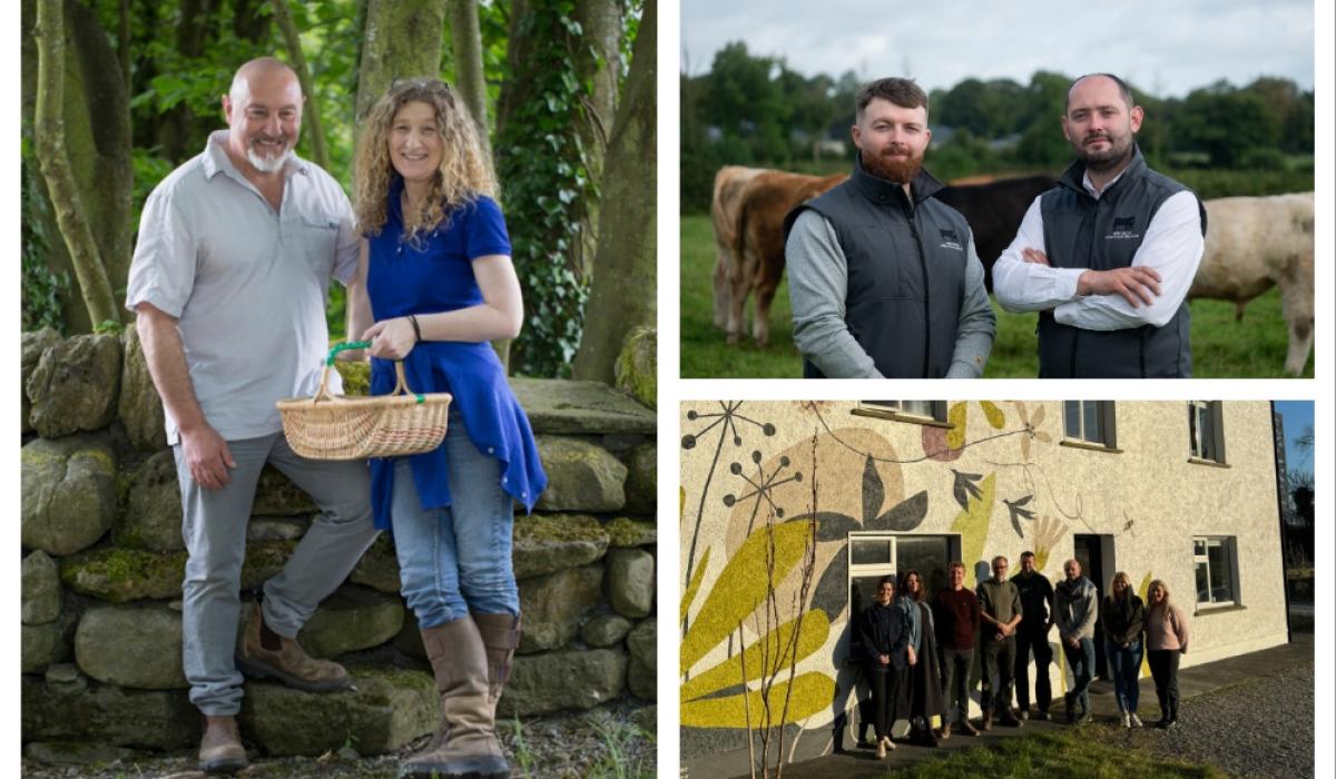 Three outstanding Offaly businesses shortlisted for prestigious ...