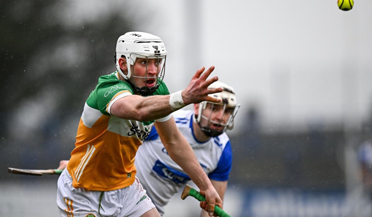 Offaly hurling team announced for clash with Galway as Adam Screeney ...