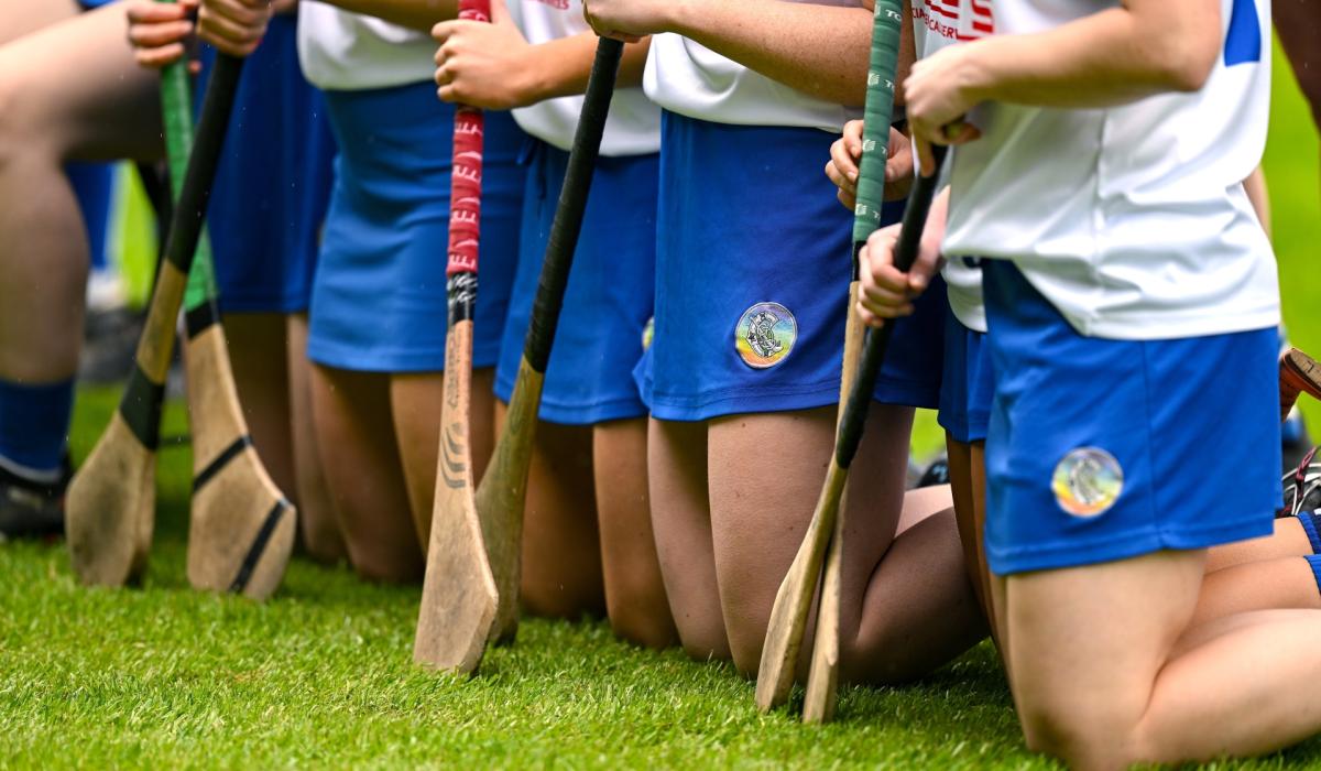 BREAKING: Camogie Association calls for Special Congress a year early ...