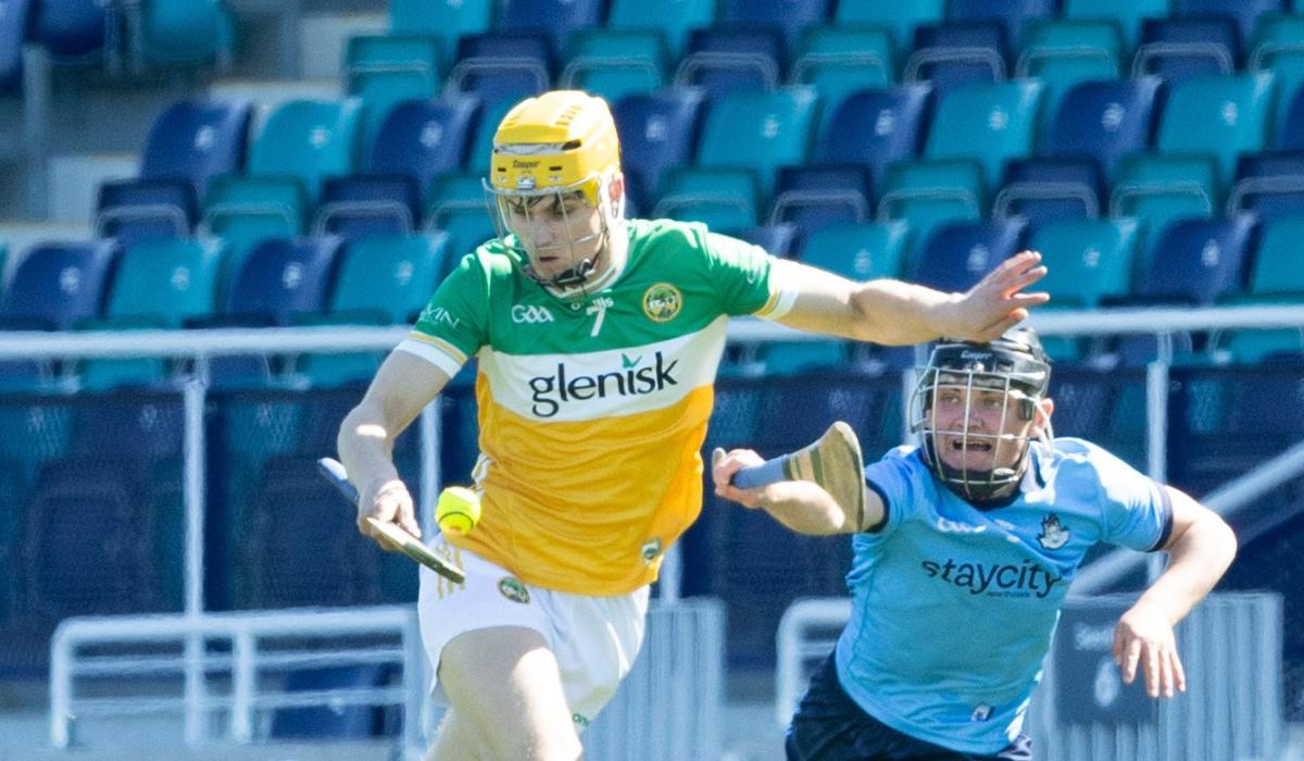 Offaly travel to Nowlan Park more in hope than confidence - Offaly Live