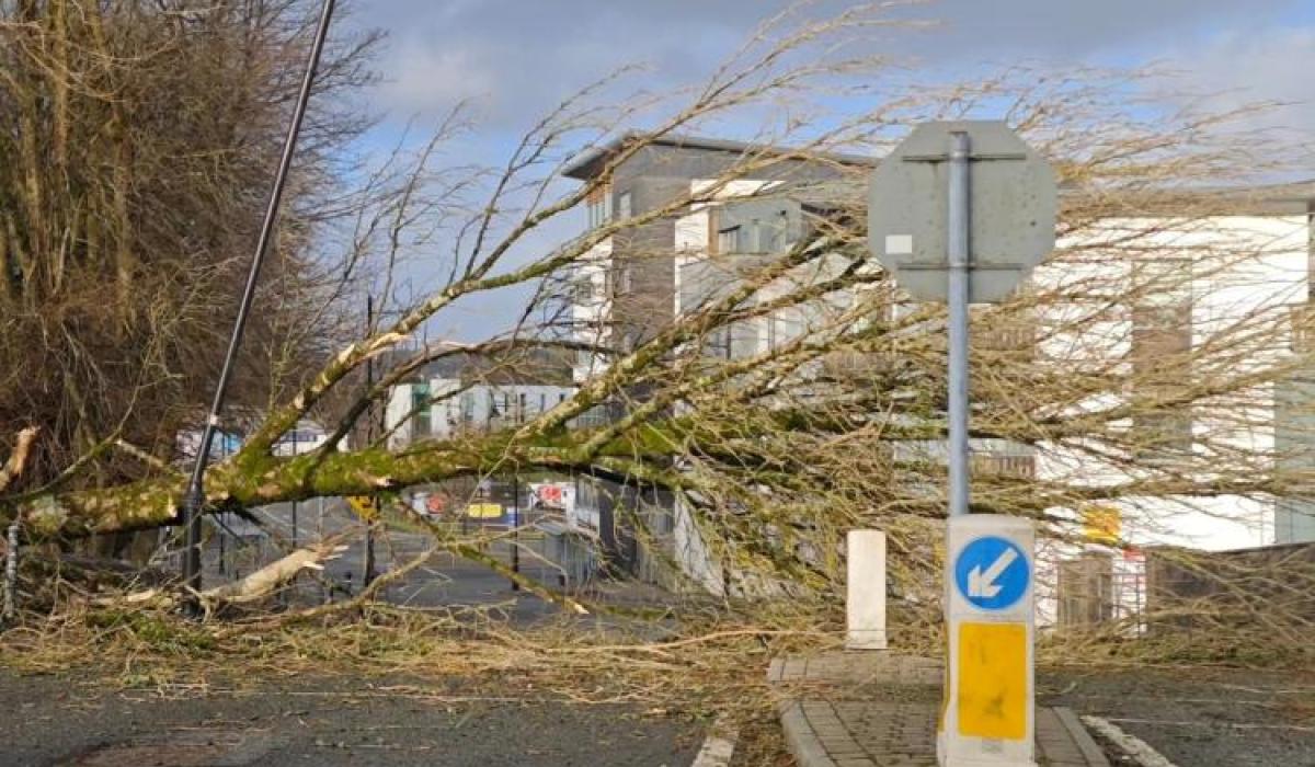 Safeguarding action yet to be taken after Storm Éowyn destroyed lives ...