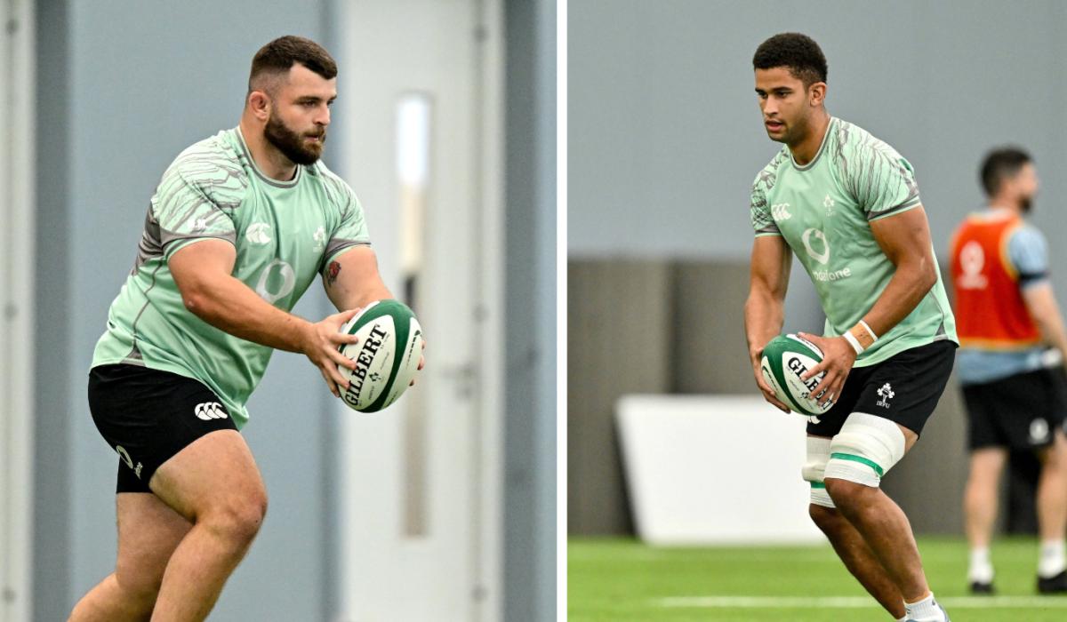 One Offaly man starting and one on bench on Ireland rugby team to face ...