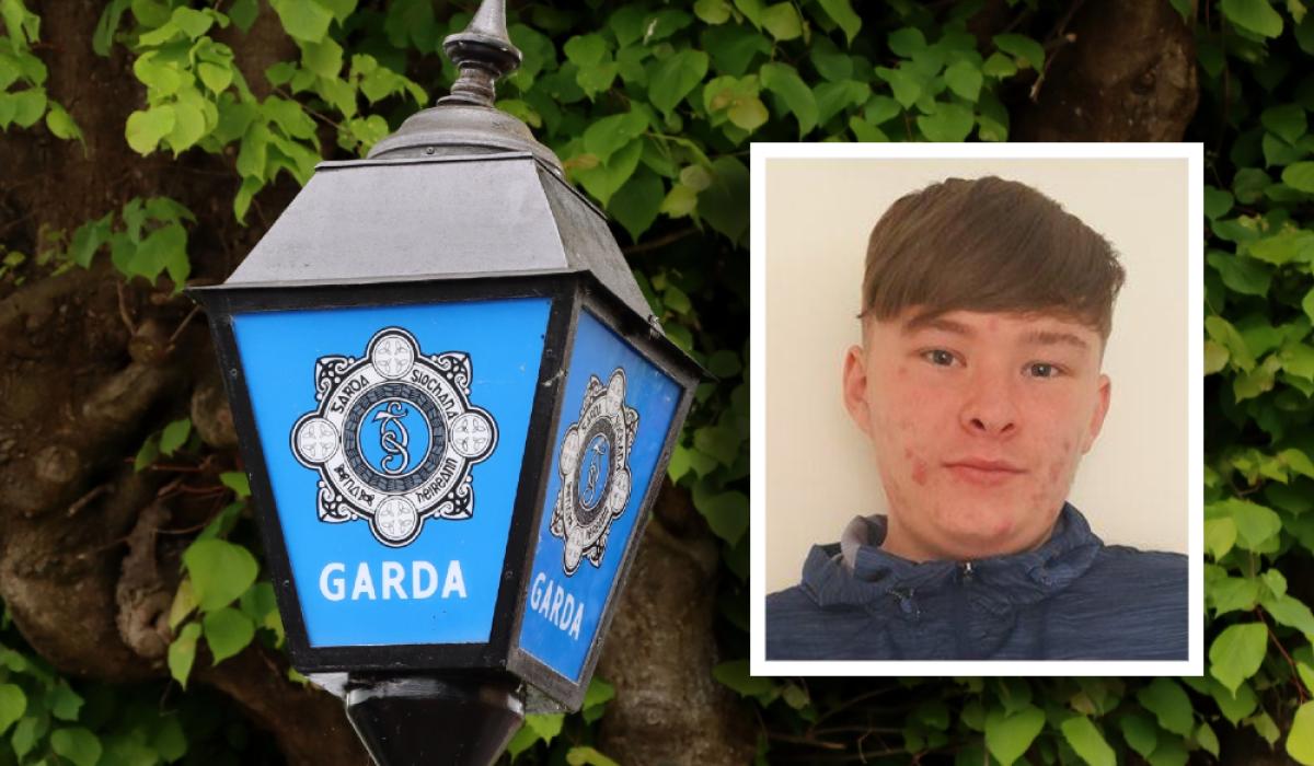 Search for teenage boy (16) missing for over a week stood down as gardaí issue update - Offaly Live