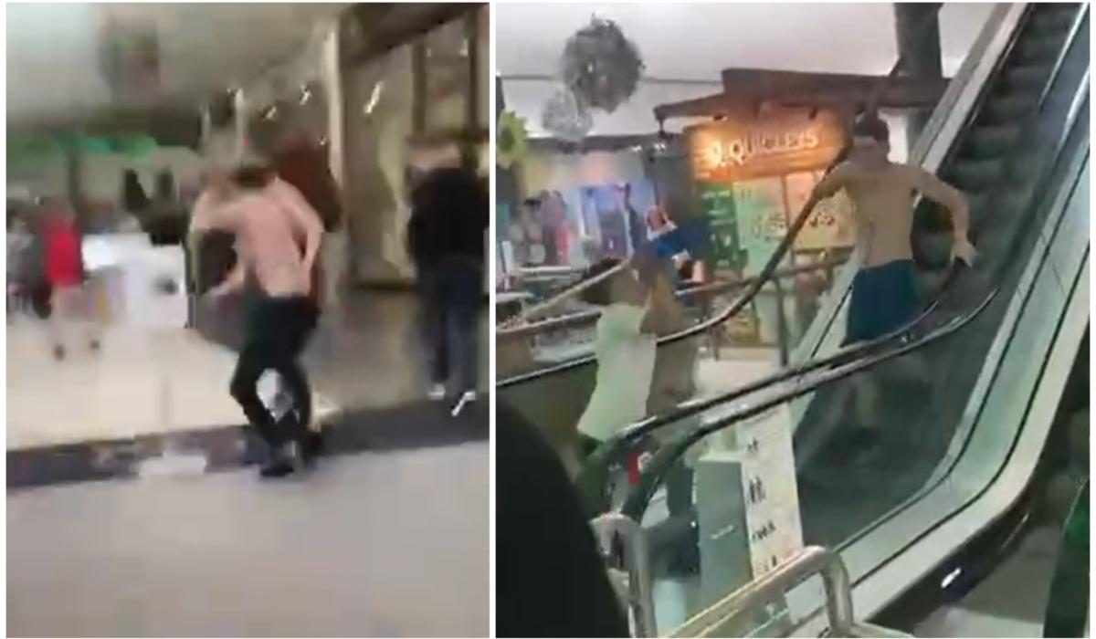 TERRIFYING: Gardaí rush to scene of bare-chested mass brawl at ...