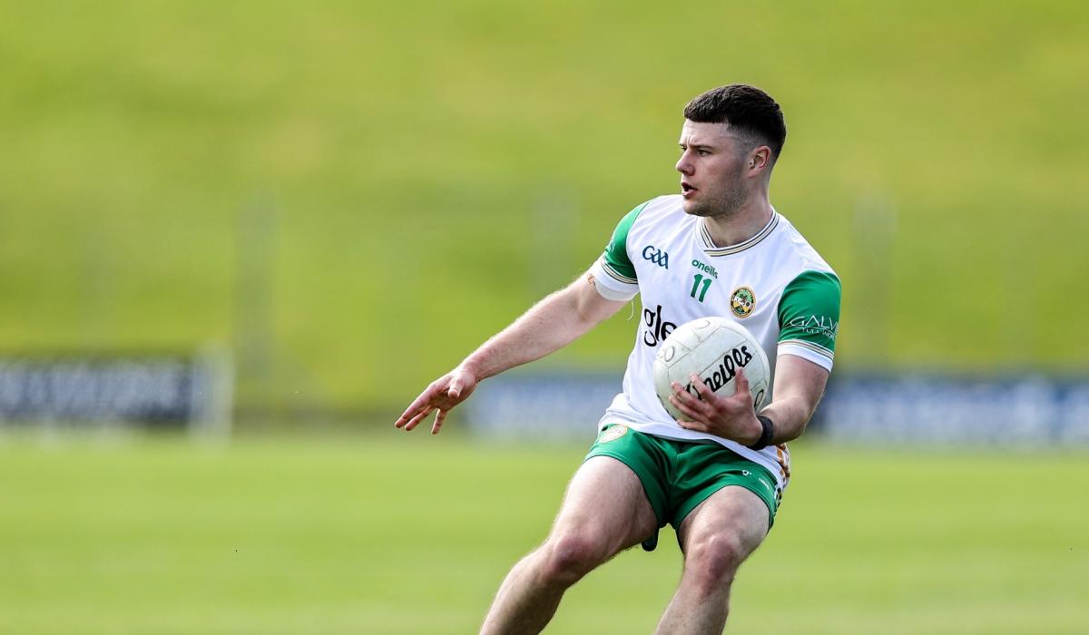 Offaly GAA, camogie and ladies football award winners announced ...