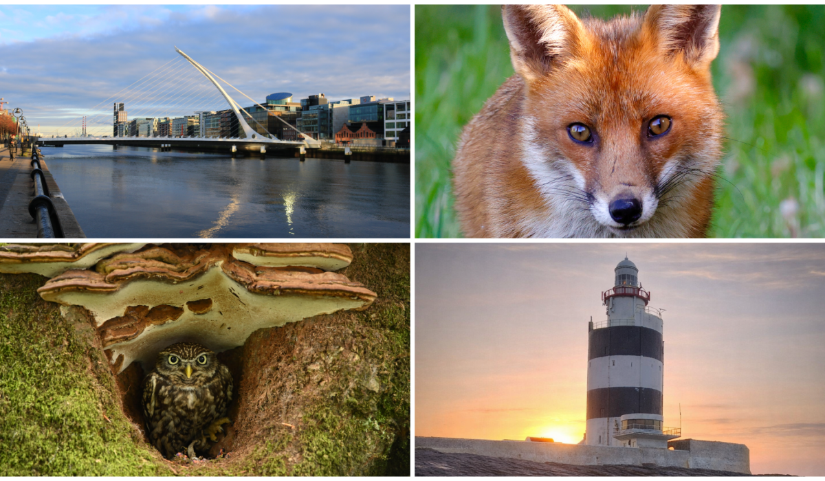 PICTURES: The latest eye-catching photos captured by members of ...