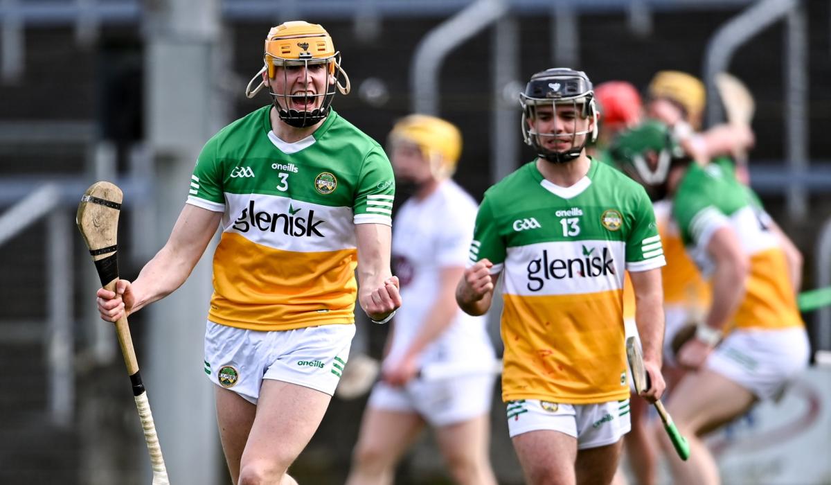 PICTURE SPECIAL: Offaly return to Division 1 Hurling after final win ...