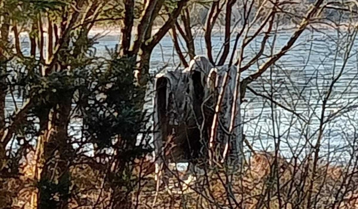 What is this strange figure lurking in the trees at popular spot in ...