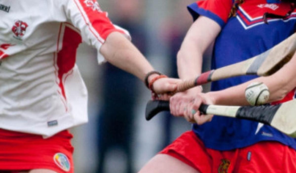 Shinrone pushed all the way but continue winning start - Offaly Live