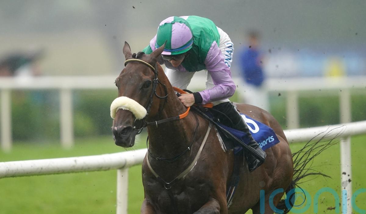 Another Shark attack at Galway Races as Hallowed Star strolls home for ...