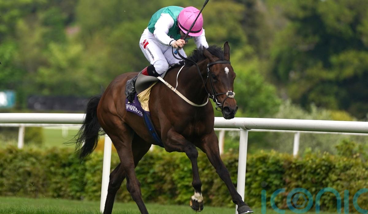 Zarinsk and Power Under Me at the double for Lyons - Offaly Live