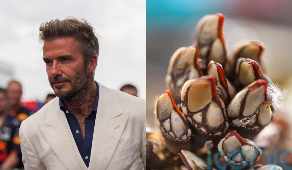 David Beckham tucks into alien-looking percebes in Spain – what are ...