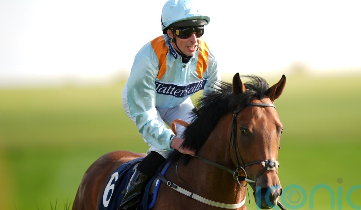 The Dragon King to continue in Middleham Park colours - Offaly Live