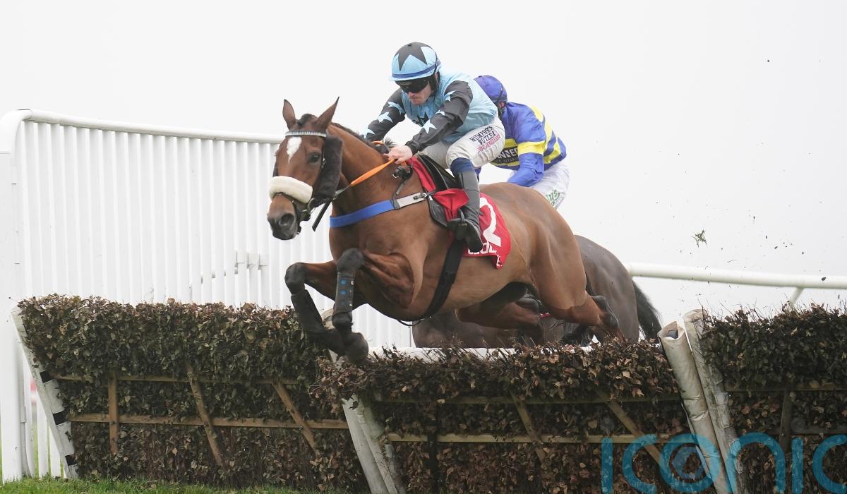 Boultbee-Brooks weighing up swift return for stable star Lunga - Offaly ...