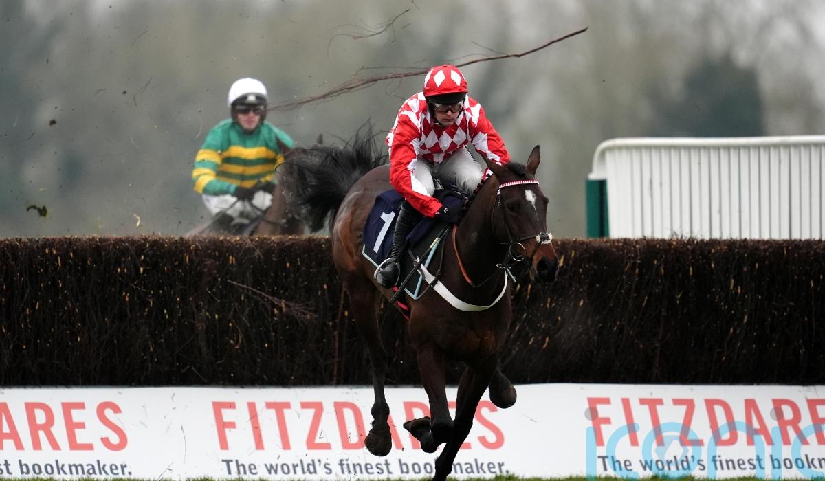 Jingko Blue picks up Hampton honours at Windsor - Offaly Live