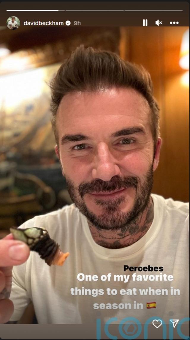 David Beckham tucks into alien-looking percebes in Spain – what are ...