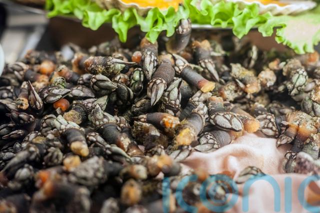 David Beckham tucks into alien-looking percebes in Spain – what are ...