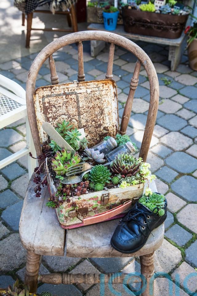 Money-saving ways to jazz up your garden patio for summer parties ...