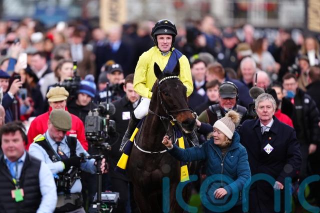 Connell outlines Punchestown mission for Marine Nationale - Offaly Live