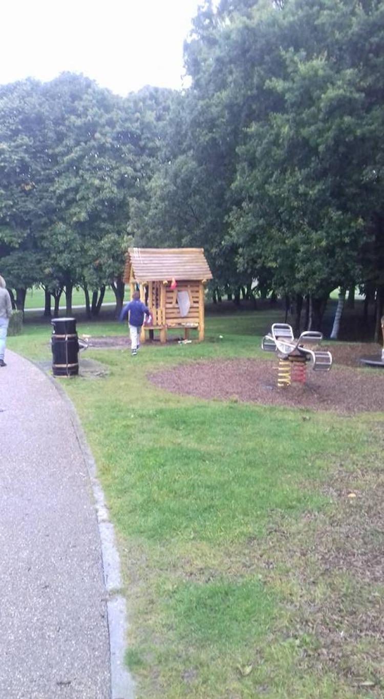 Tullamore Town Park gets unique makeover - Photo 1 of 20 - Offaly Express