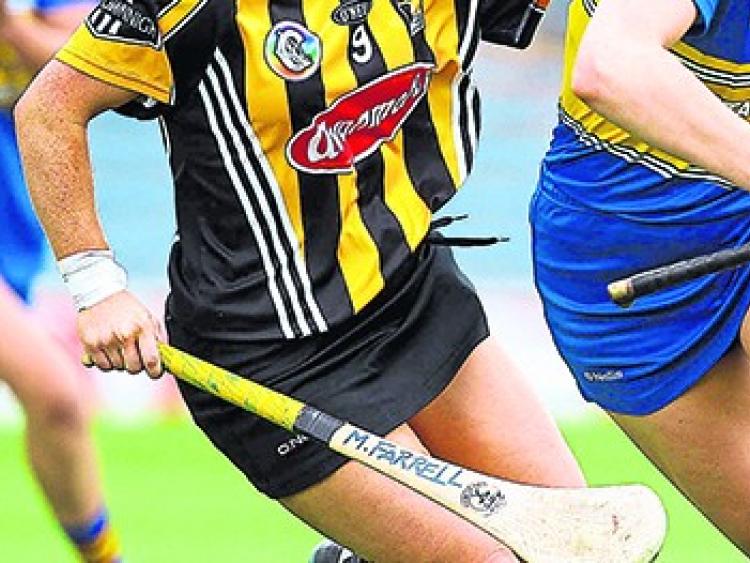 Camogie Round Up - Wins for Wexford, Waterford, Galway and Clare in ...