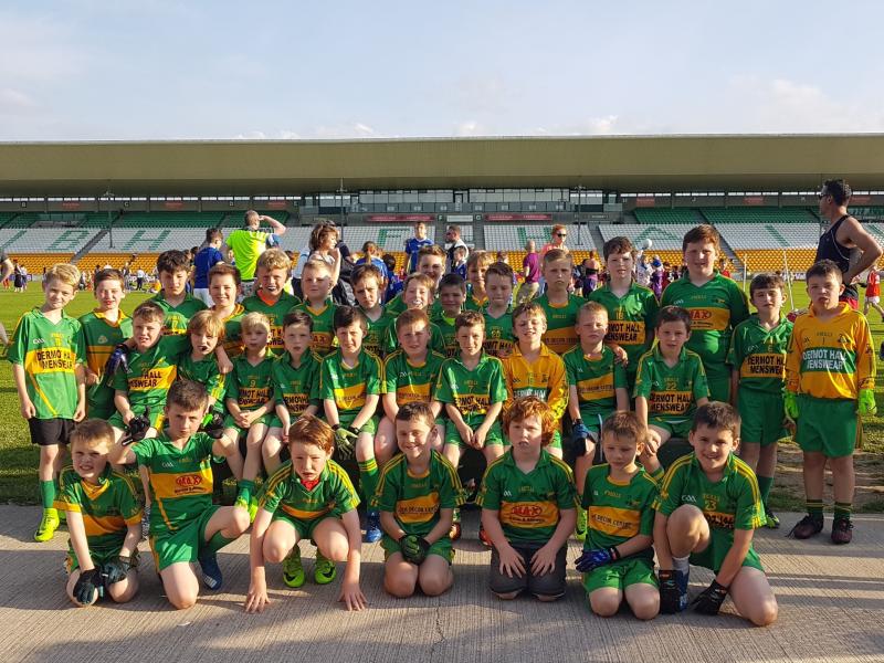 Rhode GAA Club Notes (June 26) - Offaly Live