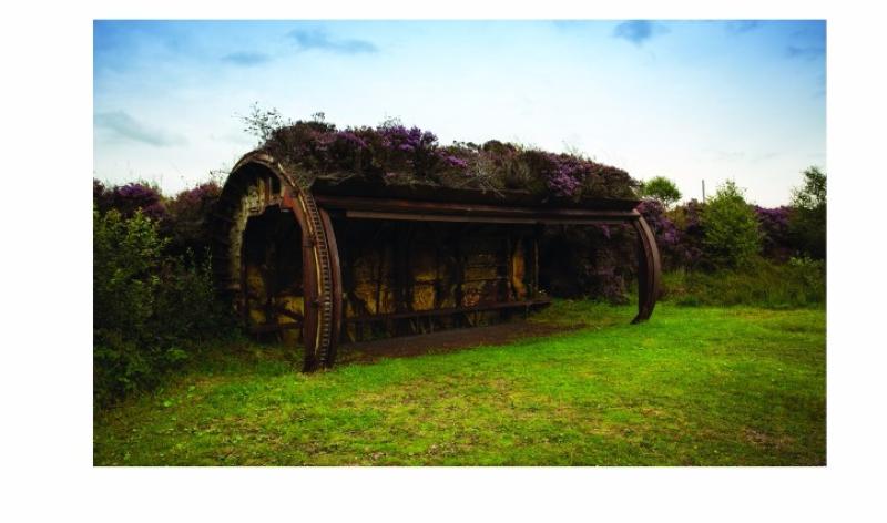 Plan for Lough Boora to become 'National Sculpture Park' - Offaly Live