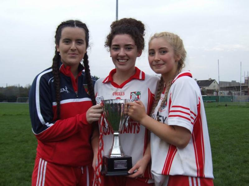 Edenderry GAA Club Notes (November 6) - Offaly Live