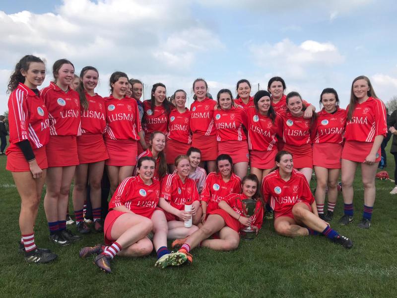 Lusmagh/Drumcullen crowned Offaly minor camogie champions - Offaly Live