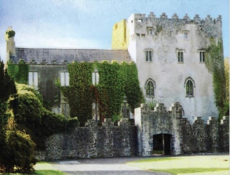 Future looks good for one of Offaly's great castles - Offaly Live