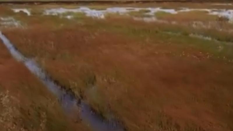 WATCH: This video shows off the absolute stunning beauty of Offaly's ...