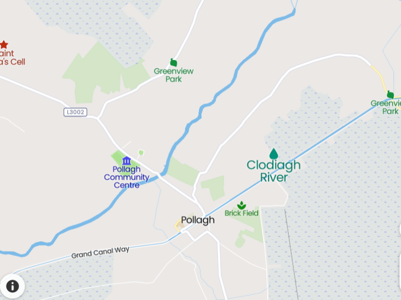 Fears over suspected plague outbreak in Offaly river - Offaly Live