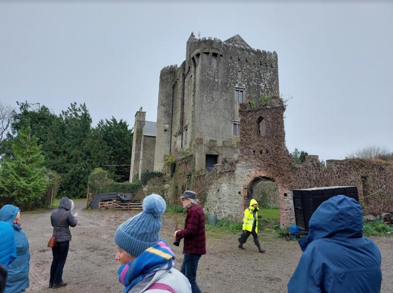 OPINION (AN COLÚN): A Crinkill mural, Shinrone graveyard and ...