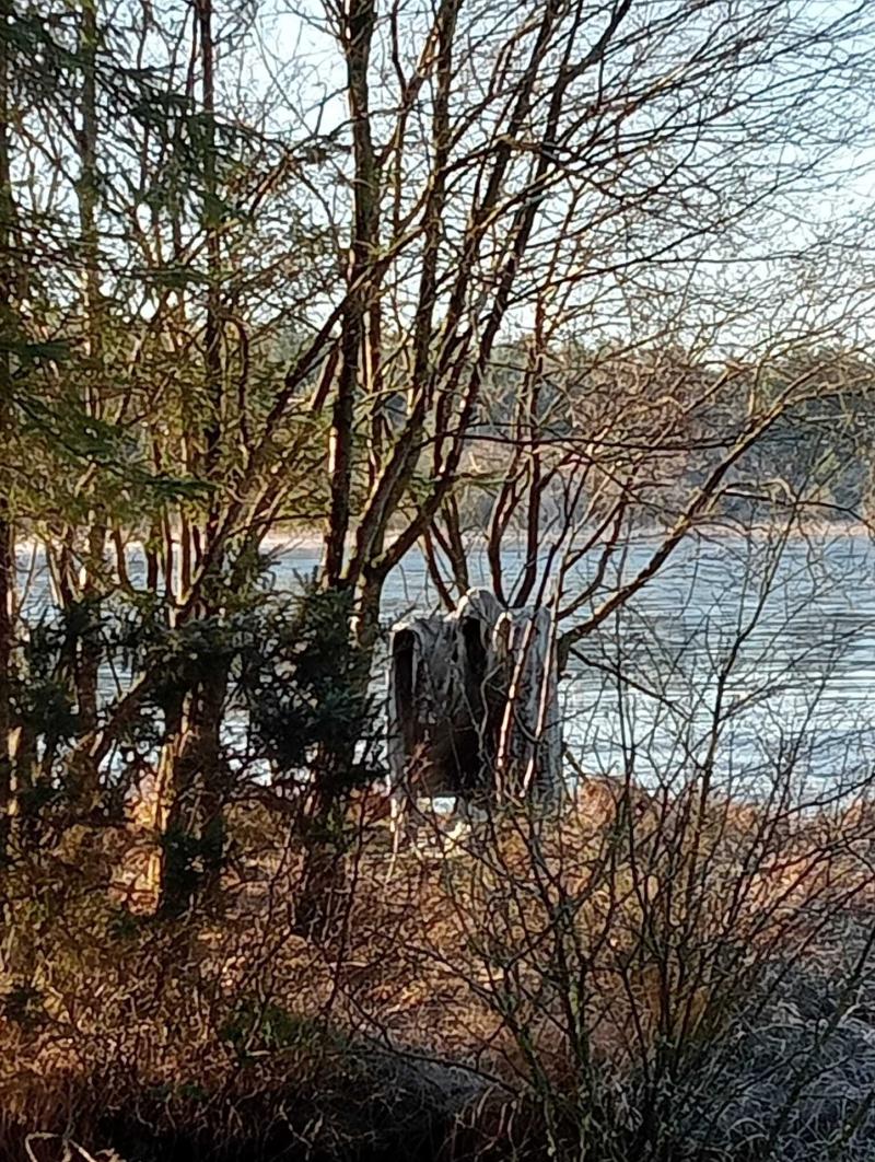 What is this strange figure lurking in the trees at popular spot in ...