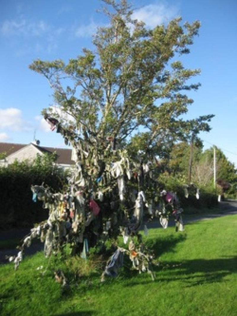 St Kieran's Day has particular significance for people of Clareen ...