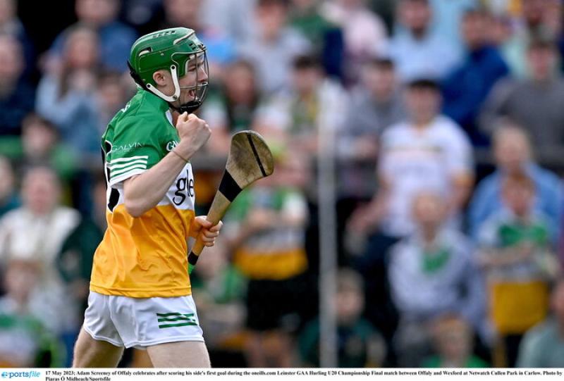 WATCH: Adam Screeney's superb goal that proved crucial for Offaly in ...