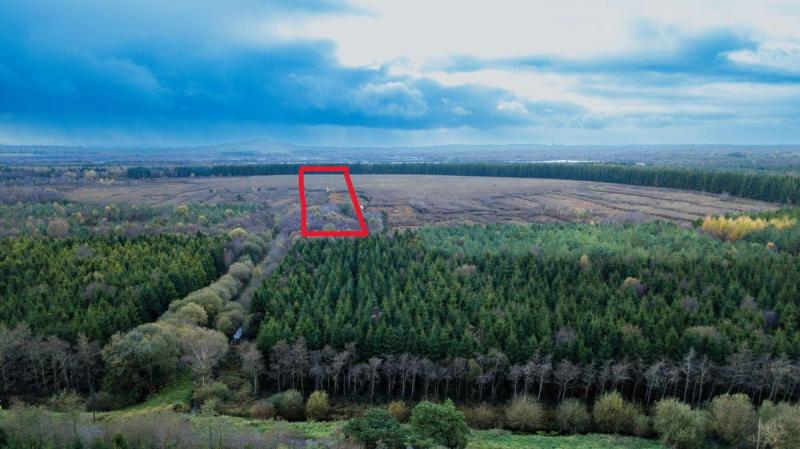 Turf for sale? - Tract of bog in Offaly is now on the market - Offaly Live
