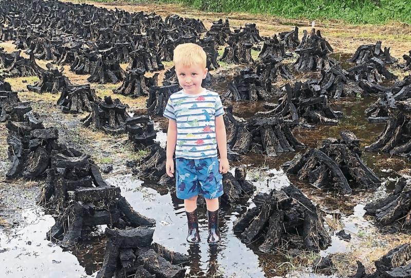 The Bog: Poem composed to mark opening of turf cutting season - Offaly Live