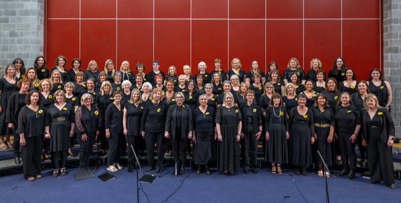 Standing ovation for TSS Summer Sounds - Offaly Live