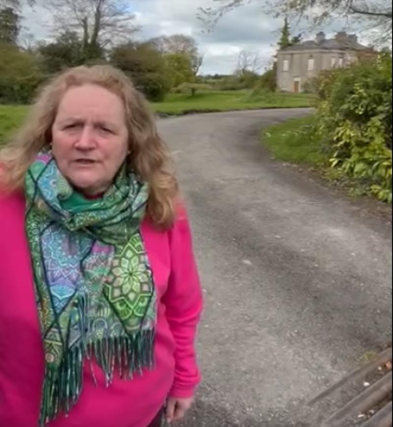 Housing, busy roads and a new secondary school for Clara - issues for ...