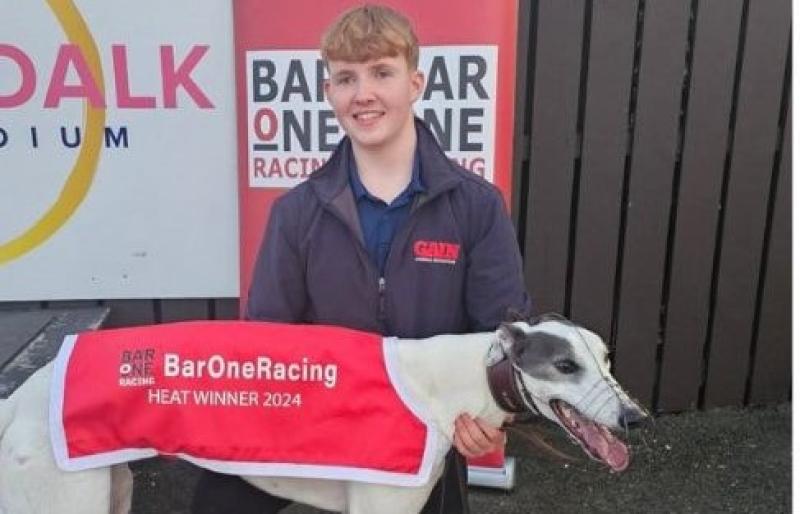 Early week racing: Offaly greyhounds hit top form - Offaly Live