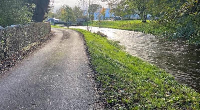 Kilcormac Wastewater Plant is polluting Silver River - Offaly Live